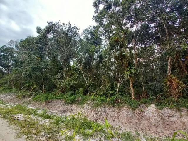 Terreno / Lote para Venda em Itanhaém/SP Gaivota Praia