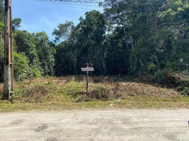 Terreno / Lote para Venda em Itanhaém/SP Gaivota Praia