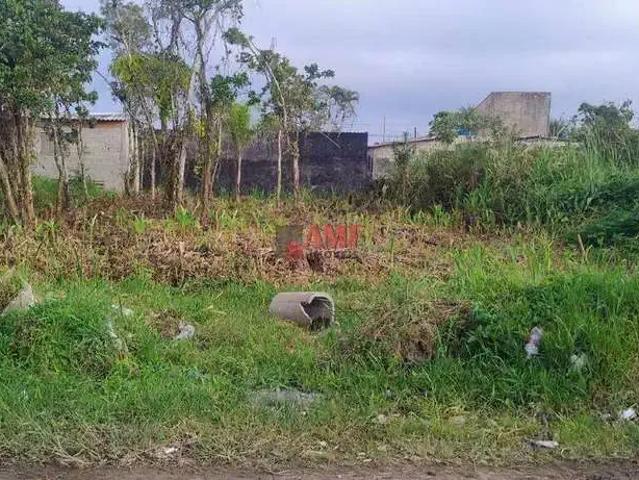 Terreno / Lote para Venda em Itanhaém/SP Gaivota Praia