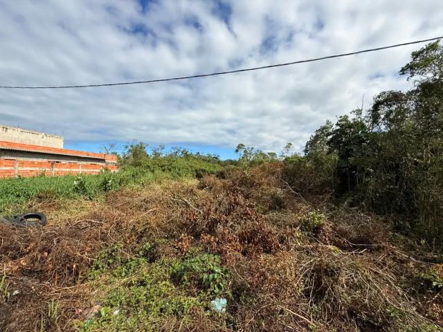 Terreno / Lote para Venda em Itanhaém/SP Gaivota Praia