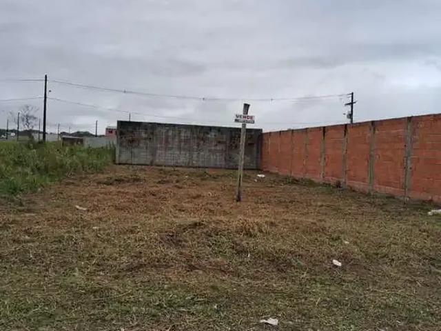 Terreno / Lote para Venda em Itanhaém/SP Gaivota Praia