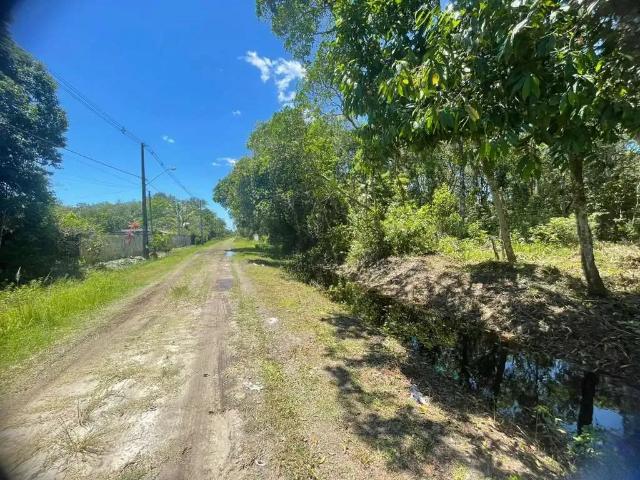 Terreno / Lote para Venda em Itanhaém/SP Gaivota Praia