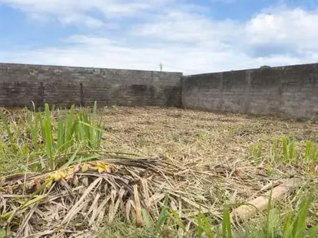 Terreno / Lote para Venda em Itanhaém/SP Gaivota Praia