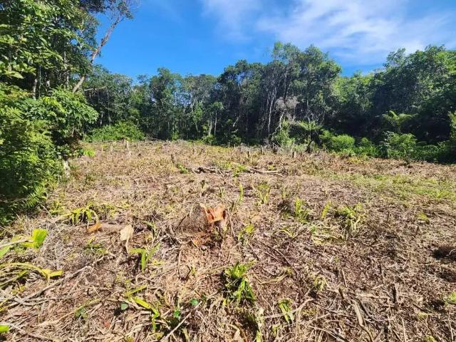 Terreno / Lote para Venda em Itanhaém/SP Gaivota Praia