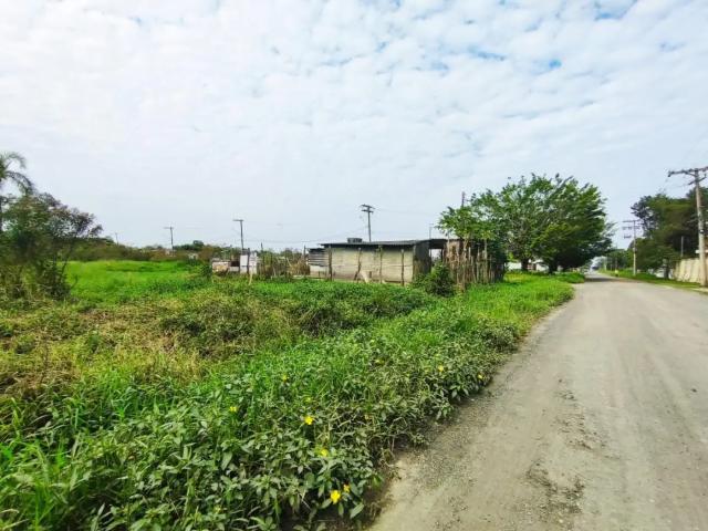 Terreno / Lote para Venda em Itanhaém/SP Gaivota Praia