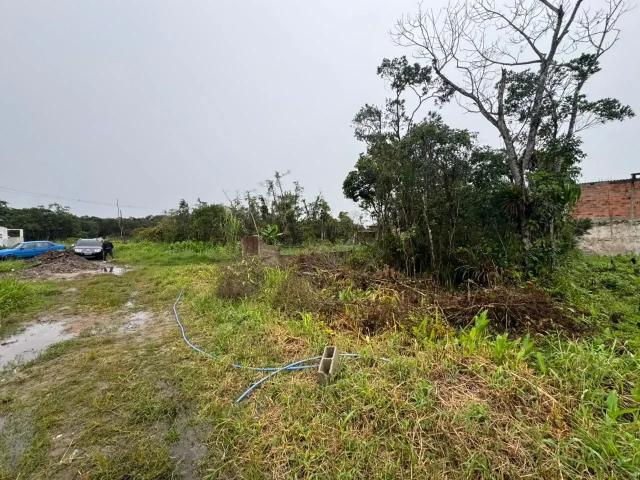 Terreno / Lote para Venda em Itanhaém/SP Gaivota Praia