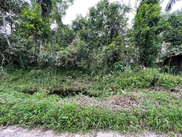 Terreno / Lote para Venda em Itanhaém/SP Gaivota Praia