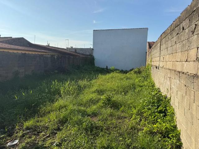 Terreno / Lote para Venda em Itanhaém/SP Gaivota Praia