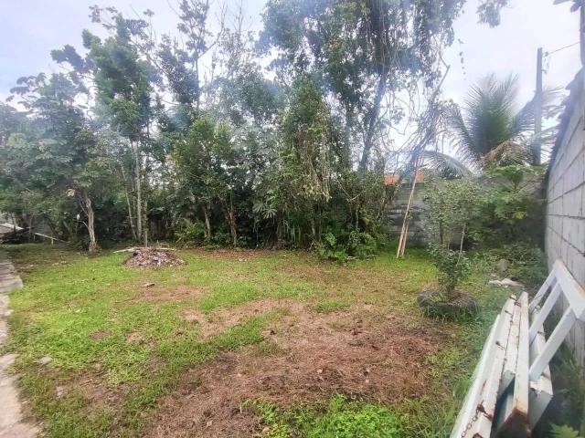 Terreno / Lote para Venda em Itanhaém/SP Gaivota Praia