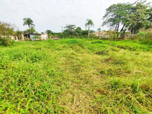 Terreno / Lote para Venda em Itanhaém/SP Gaivota Praia