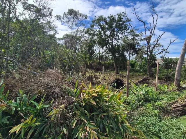 Terreno / Lote para Venda em Itanhaém/SP Gaivota Praia