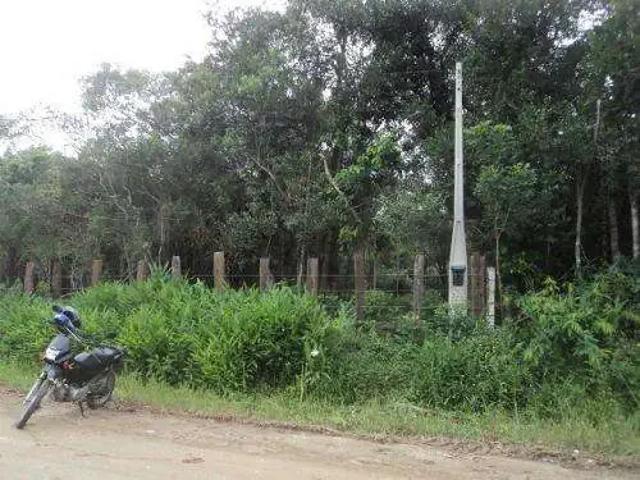 Terreno / Lote para Venda em Itanhaém/SP Gaivota Praia