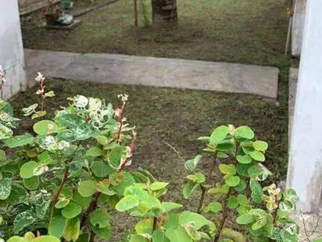 Terreno / Lote para Venda em Itanhaém/SP Gaivota Praia