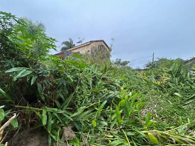 Terreno / Lote para Venda em Itanhaém/SP Gaivota Praia