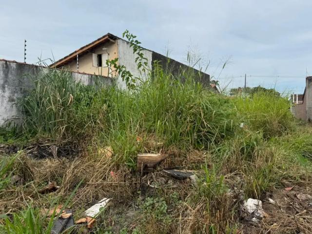 Terreno / Lote para Venda em Itanhaém/SP Gaivota Praia