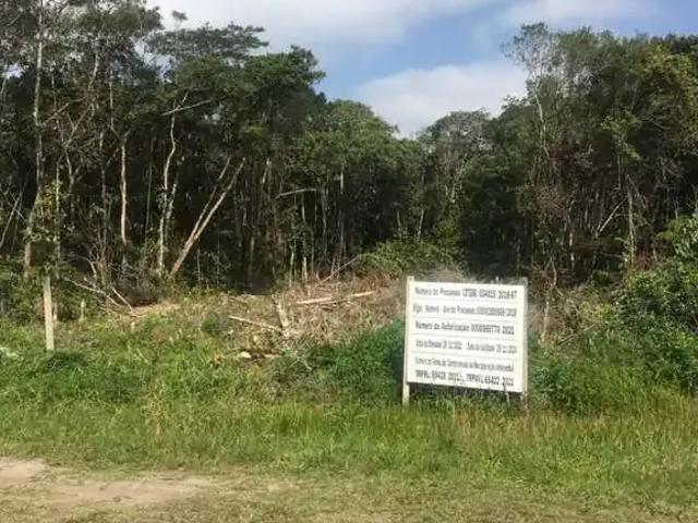 Terreno / Lote para Venda em Itanhaém/SP Indaiá
