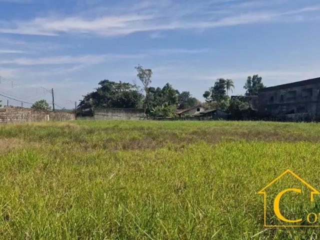 Terreno / Lote para Venda em Itanhaém/SP Jardim Umuarama