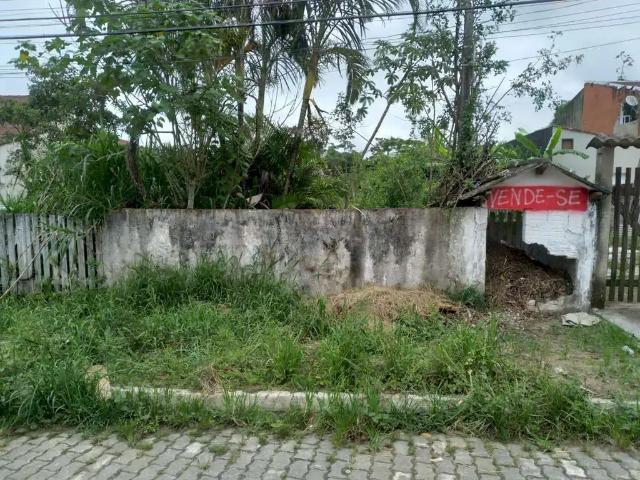 Terreno / Lote para Venda em Itanhaém/SP Jardim Umuarama