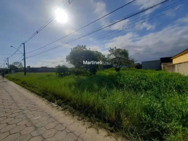 Terreno / Lote para Venda em Itanhaém/SP Jardim Umuarama