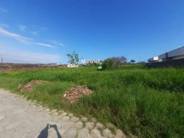 Terreno / Lote para Venda em Itanhaém/SP Jardim Umuarama