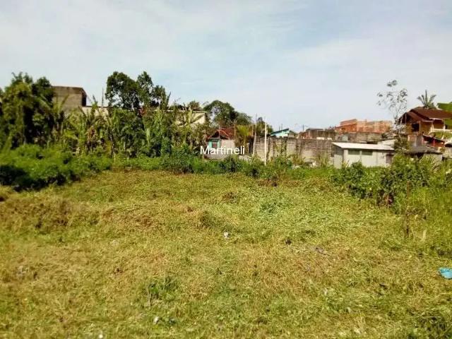 Terreno / Lote para Venda em Itanhaém/SP Jardim Umuarama