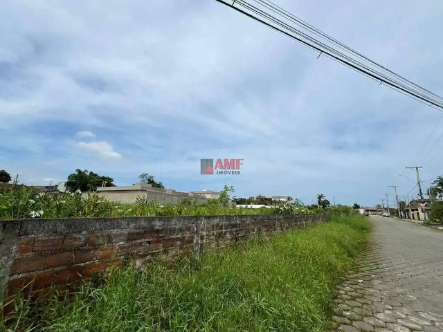 Terreno / Lote para Venda em Itanhaém/SP Jardim Umuarama