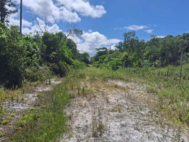 Terreno / Lote para Venda em Itanhaém/SP Jardim Anchieta