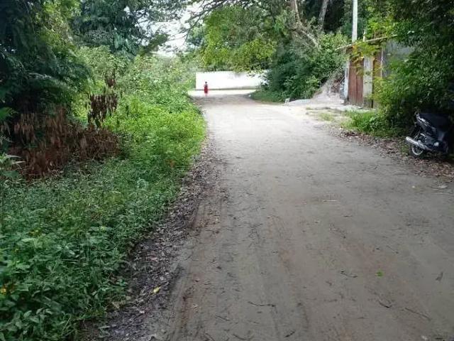 Terreno / Lote para Venda em Itanhaém/SP Jardim Coronel