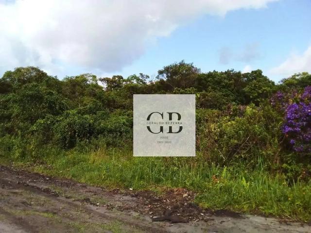 Terreno / Lote para Venda em Itanhaém/SP Jardim Coronel
