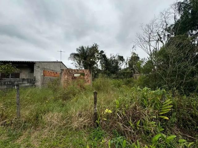 Terreno / Lote para Venda em Itanhaém/SP Jardim Coronel