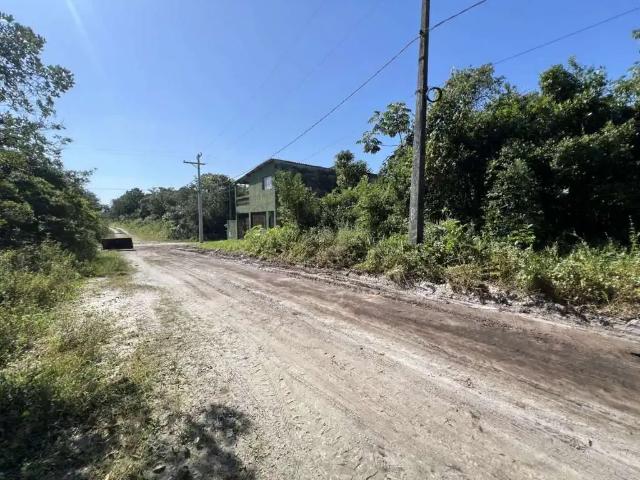 Terreno / Lote para Venda em Itanhaém/SP Jardim Coronel