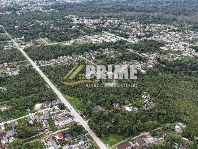 Terreno / Lote para Venda em Itanhaém/SP Jardim Coronel