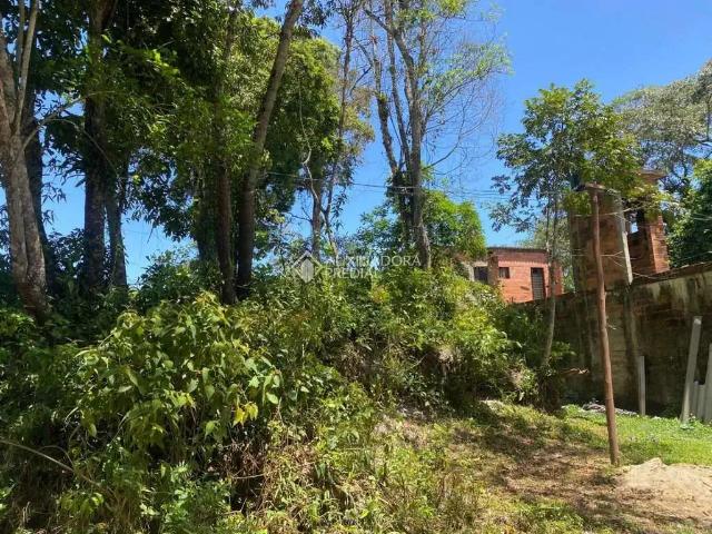 Terreno / Lote para Venda em Itanhaém/SP Jardim Coronel
