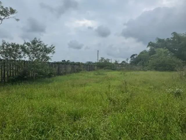 Terreno / Lote para Venda em Itanhaém/SP Jardim Coronel