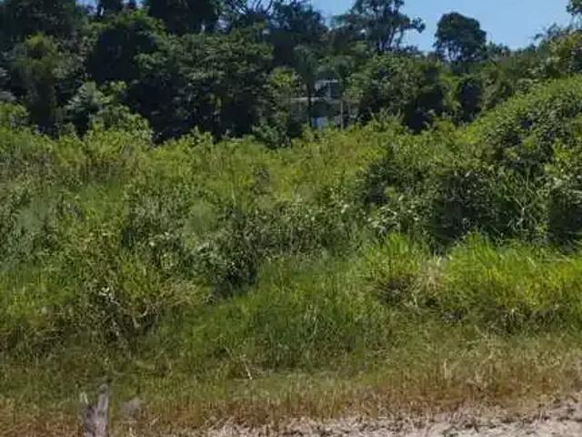 Terreno / Lote para Venda em Itanhaém/SP Jardim Coronel