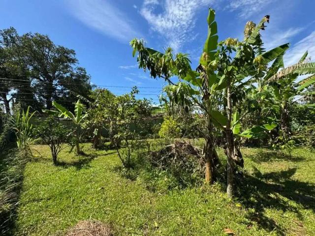 Terreno / Lote para Venda em Itanhaém/SP Jardim das Palmeiras