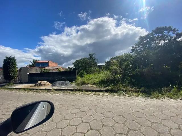 Terreno / Lote para Venda em Itanhaém/SP Jardim das Palmeiras