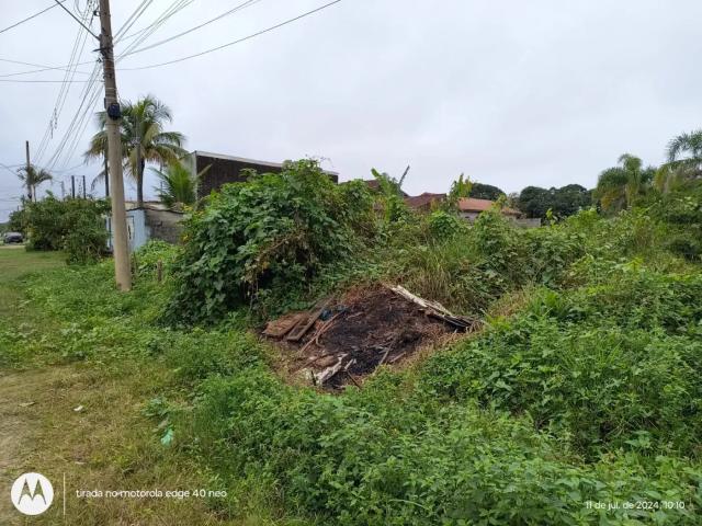 Terreno / Lote para Venda em Itanhaém/SP Jardim das Palmeiras
