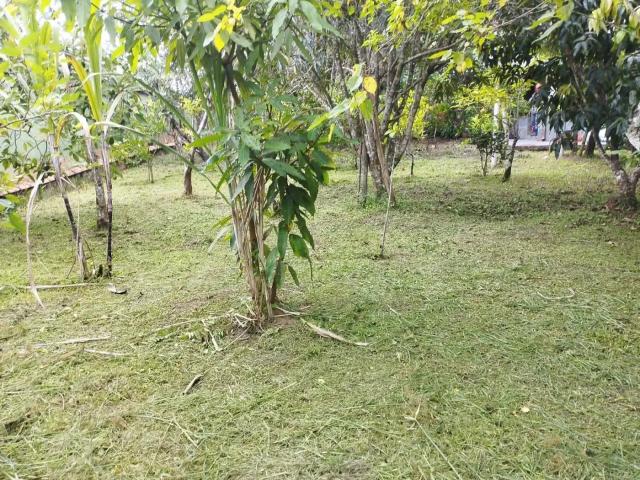 Terreno / Lote para Venda em Itanhaém/SP Jardim das Palmeiras