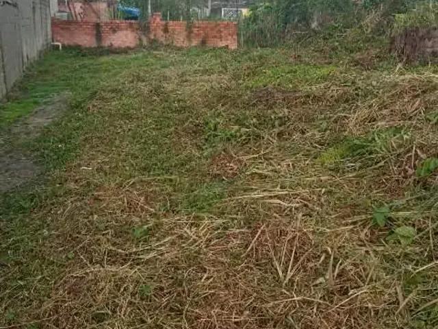 Terreno / Lote para Venda em Itanhaém/SP Jardim das Palmeiras