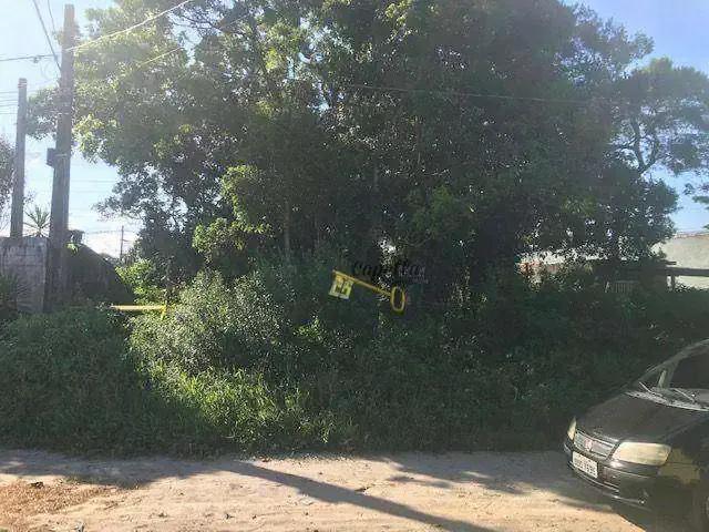 Terreno / Lote para Venda em Itanhaém/SP Jardim das Palmeiras