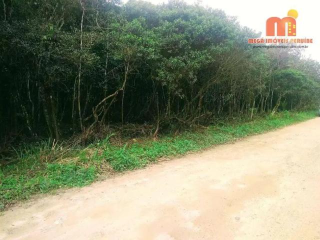 Terreno / Lote para Venda em Itanhaém/SP Jardim das Palmeiras