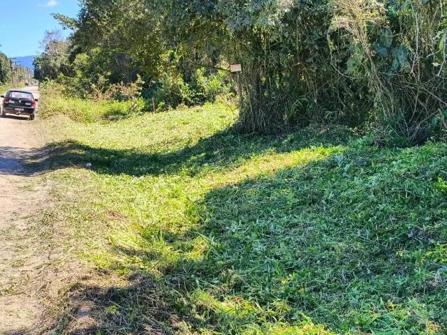 Terreno / Lote para Venda em Itanhaém/SP Jardim das Palmeiras