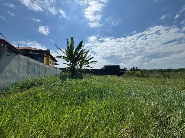 Terreno / Lote para Venda em Itanhaém/SP Jardim Diplomata