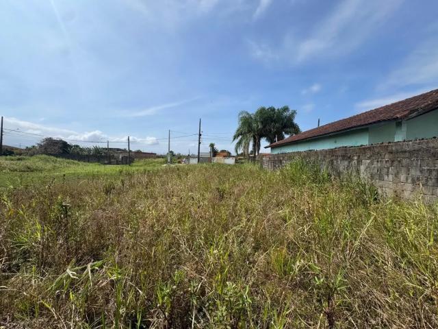 Terreno / Lote para Venda em Itanhaém/SP Jardim Grandesp
