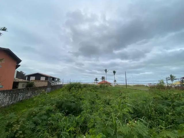 Terreno / Lote para Venda em Itanhaém/SP Jardim Grandesp