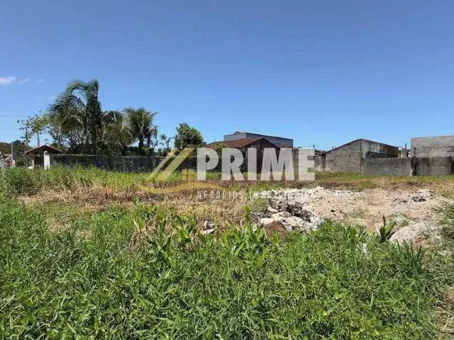 Terreno / Lote para Venda em Itanhaém/SP Jardim Guacira