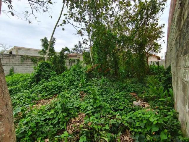 Terreno / Lote para Venda em Itanhaém/SP Jardim Itapel