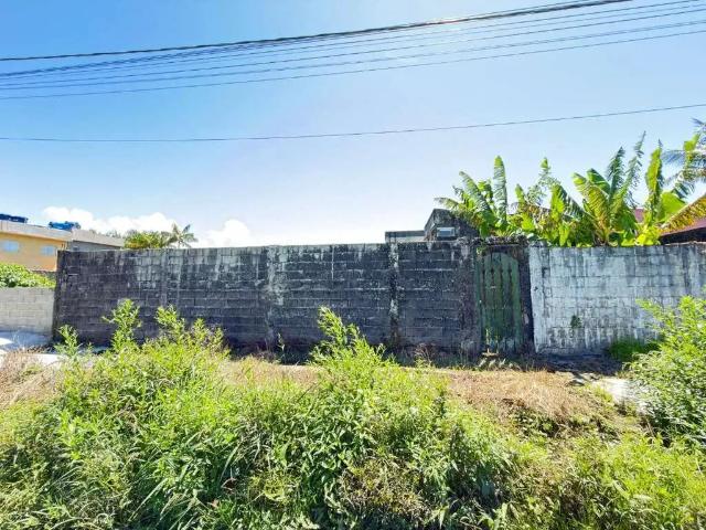Terreno / Lote para Venda em Itanhaém/SP Jardim Jamaica