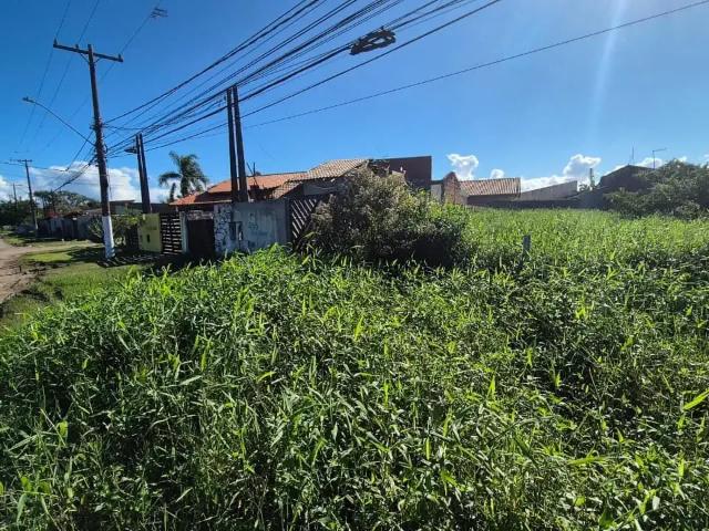 Terreno / Lote para Venda em Itanhaém/SP Jardim Jamaica